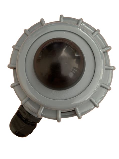 Ip65 Black Bulb Temperature Sensor Pt100 Rtd Buy Online Ec Products Uk