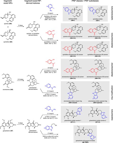 Overview Of The Synthesized Pseudo Natural Product Classes And Download Scientific Diagram