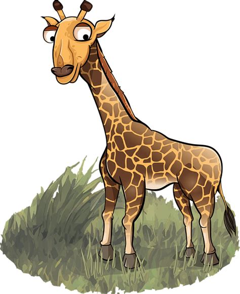 Giraffe Images Cartoon