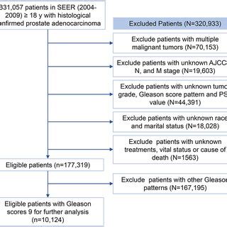 The CIF Curves Of CSM Before PSM A CIF Curves For Age At Diagnosis Download Scientific