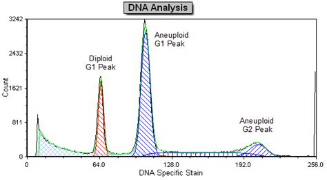 Cell Cycle Analysis