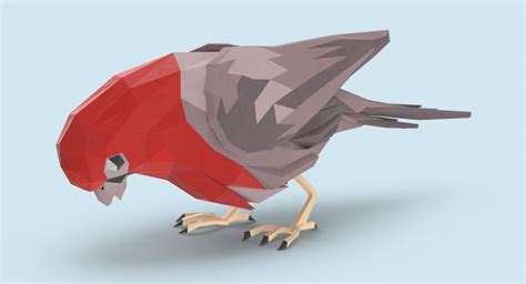 레드 버드 쪼아 3d 모델 29 Max Usd Unitypackage Upk C4d Ma Free3d