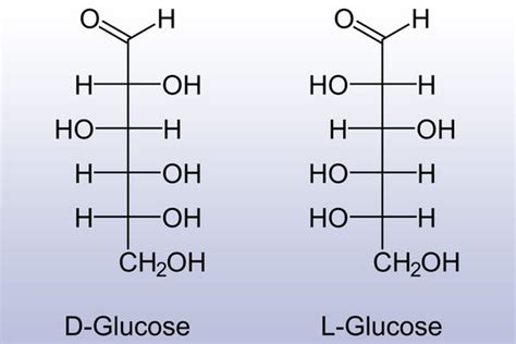 Monosaccharide Definition And Functions