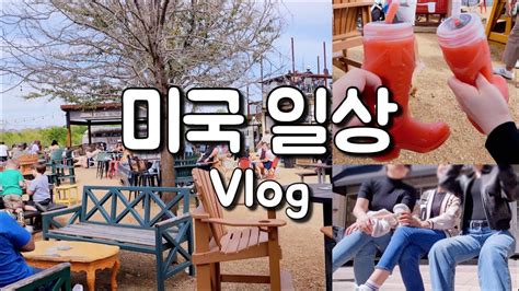 미국 일상 브이로그 텍사스 달라스 맛집 술집 먹방 주말 Youtube
