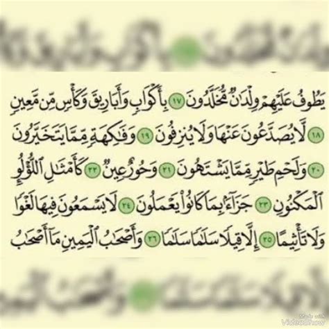 يطوف عليهم ولدان مخلدون صوت محمد خيري Youtube