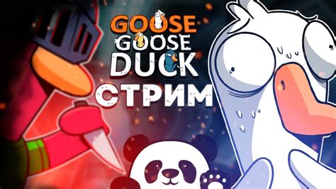 Goose Goose Duck СТРИМ 45 СЕРДЦЕ ТРЕБУЕТ ГУСЕЙ Youtube