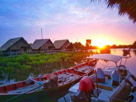 2 ការជិះរទេះក្របី