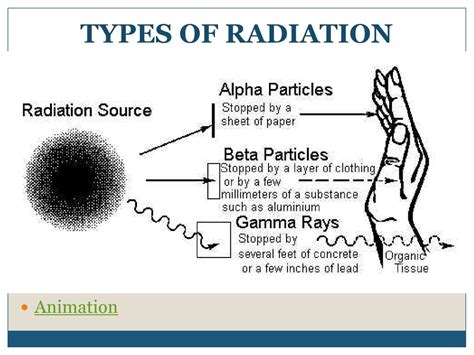 Radioactivity Ppt Download
