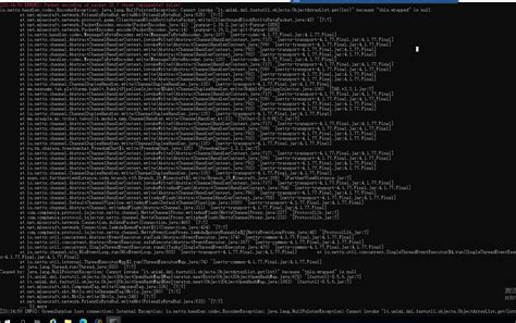 Bug Report Regarding The Use Of Protocollib On 1192 Servers！ · Issue