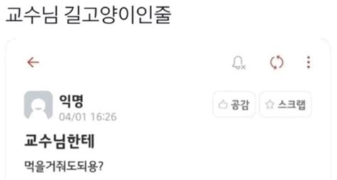 싱글벙글 즐거운 대학생활 모음