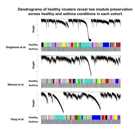 Dendrograms Of Clustering In Healthy Condition With Asthma Clusters
