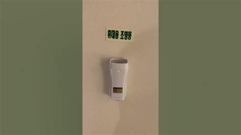 스위스로 자식을 보낸 기러기 아빠 Vlog Youtube