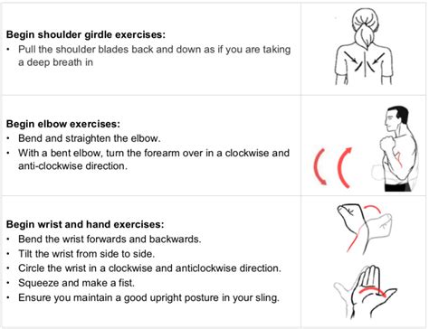 Clavicle Fracture Plate And Screw Rehab Adam Watson Orthopaedic Surgeon