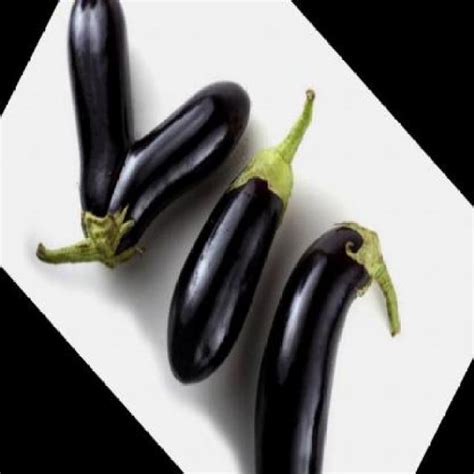 Eggplant Object Detection Dataset V1 2023 06 30 4 36pm By Curry