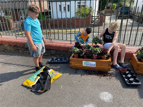 Our New Planters From Shield Creunant Primary School
