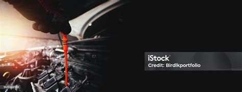 자동차 정비사가 주황색 딥스틱을 당겨 연소 엔진의 모터 오일 레벨을 확인합니다 검사 보기에 대한 스톡 사진 및 기타 이미지 검사 보기 계기판 측정기 계량봉 Istock