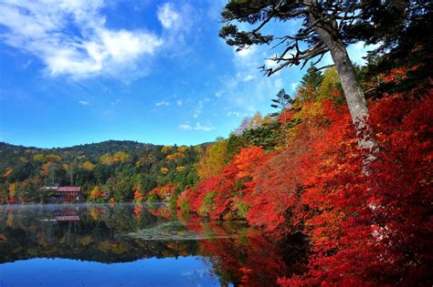 白駒池紅葉 by clapton ID2644803 写真共有サイト PHOTOHITO