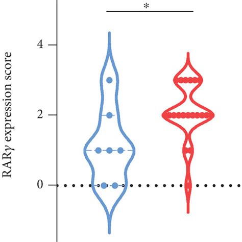 Rarγ Was High Expression In Human Oa Chondrocytes Compared With Normal Download Scientific