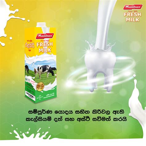 කිරි ගුණ Malibanmilk Maliban Milk මැලිබන් කිරි