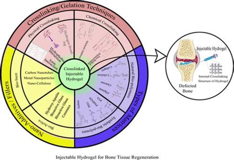 可注射纳米复合水凝胶在骨组织修复方面的最新进展 Journal Of Applied Polymer Science X Mol