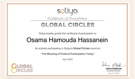 Completed Global Engagement Program On Political Participation Osama