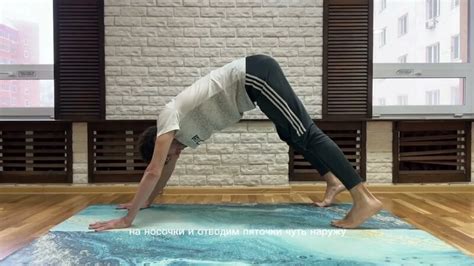 Поза кошки и собака мордой вниз Базовые позы йоги Смотреть онлайн в поиске Яндекса по Видео