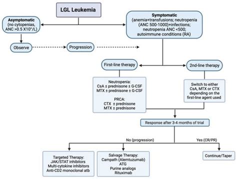 Large Granular Lymphocytic Leukemia Clinical Features Molecular