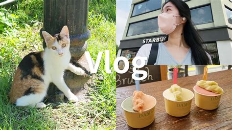 Vlog 7월부터 8월까지 직장인 브이로그 여름일상 Youtube