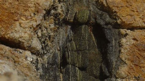 Xenolith Geology Britannica