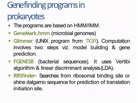 Gene Prediction And Expression Pptx Programming Languages Computing