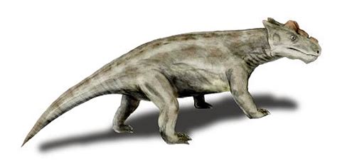 Evolution Therapsid