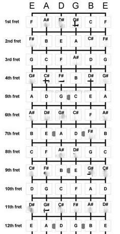How To Memorize The Notes On The Guitar Neck Music Guitar Chords Beginner Guitar Neck