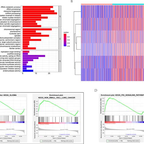 Pdf High Expression Of Dll3 Is Associated With A Poor Prognosis And Immune Infiltration In