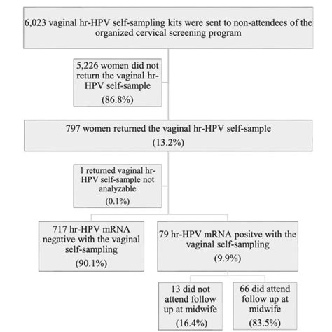 Flow Chart Showing Study Population For Invitation To Self Collected