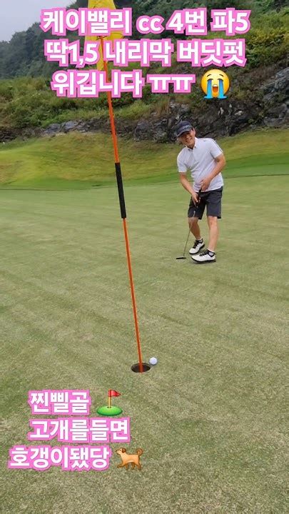 찐삘골⛳️완벽한체중이동😱골프골프존스크린골프nx골프존cc필드필드골프필드레슨웨지퍼터아이언비거리골프레슨숏게임숏아이언드라이버롱아이언우드유틸