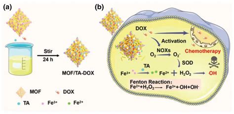 A Schematic Representation Of The Preparation Of Mofta‐dox B Download Scientific Diagram