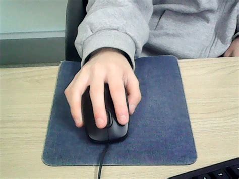 Hands Object Detection Dataset By Project Eelpt