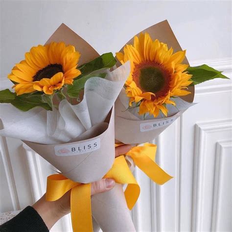 შენ და საქართველო