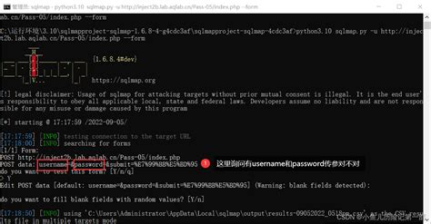 Post注入和head注入php Post 命令注入 Csdn博客