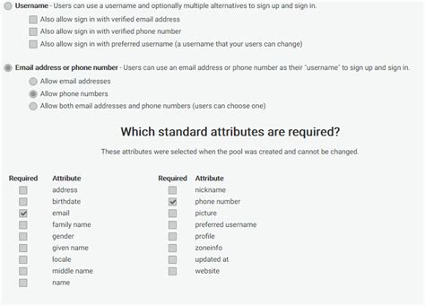 Javascript Sign Up To Amazon Web Service Cognito Error Invalidparameterexception Stack Overflow