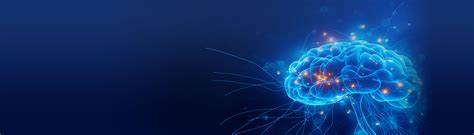 简介 北京脑院 北京脑重大疾病研究院