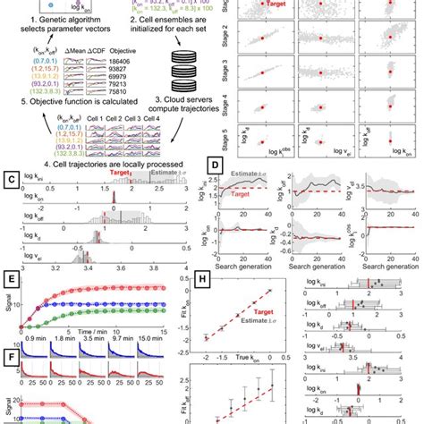 Parameter Estimation Process And Performance A Parallelized Download Scientific Diagram