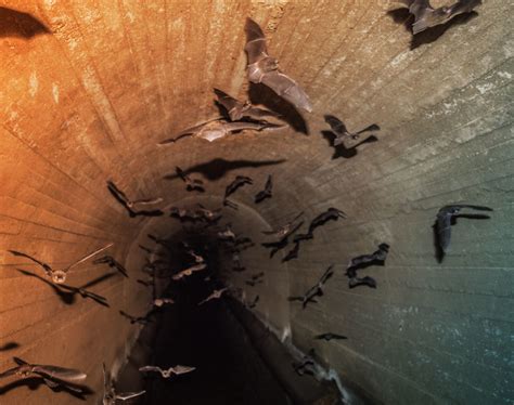 Ultrasonic Data Transmission So Much Harder Than It Should Be Lookfar