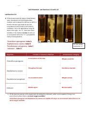 Lab 9 Handout 1 Pdf Name Twinkle Thomas TA Lab Period 18383 Lab 9 Handout Lab Exercises 2