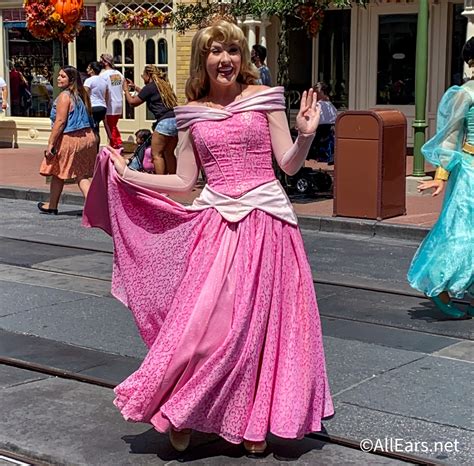 Princess Aurora Disney World