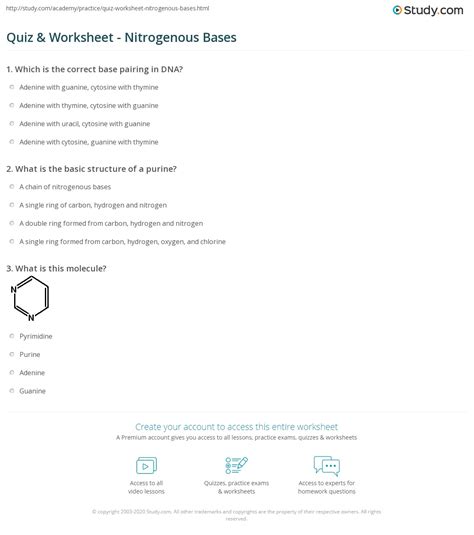 Quiz And Worksheet Nitrogenous Bases