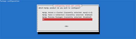 How To Install Mysql On Debian 10 Linux
