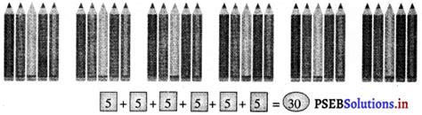 Pseb 3rd Class Maths Solutions Chapter 3 Multiplication Pseb Solutions