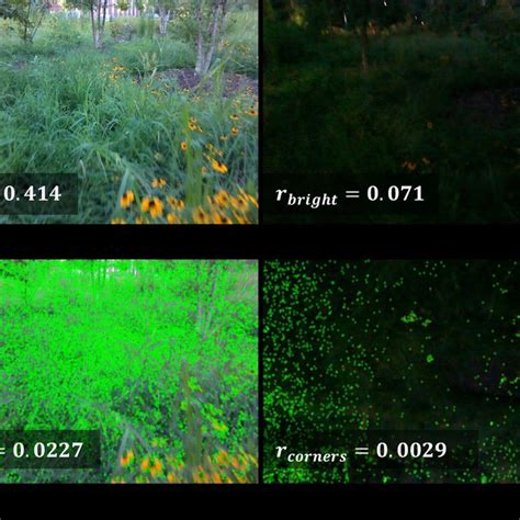 Image Reliability Estimation We Estimate Input Image Reliability Based