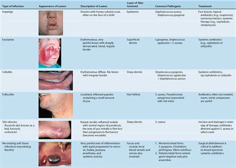 Erysipelas Vs Cellulitis Vs Impetigo